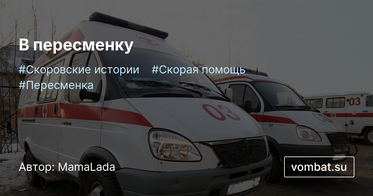 В пересменку | vombat.su